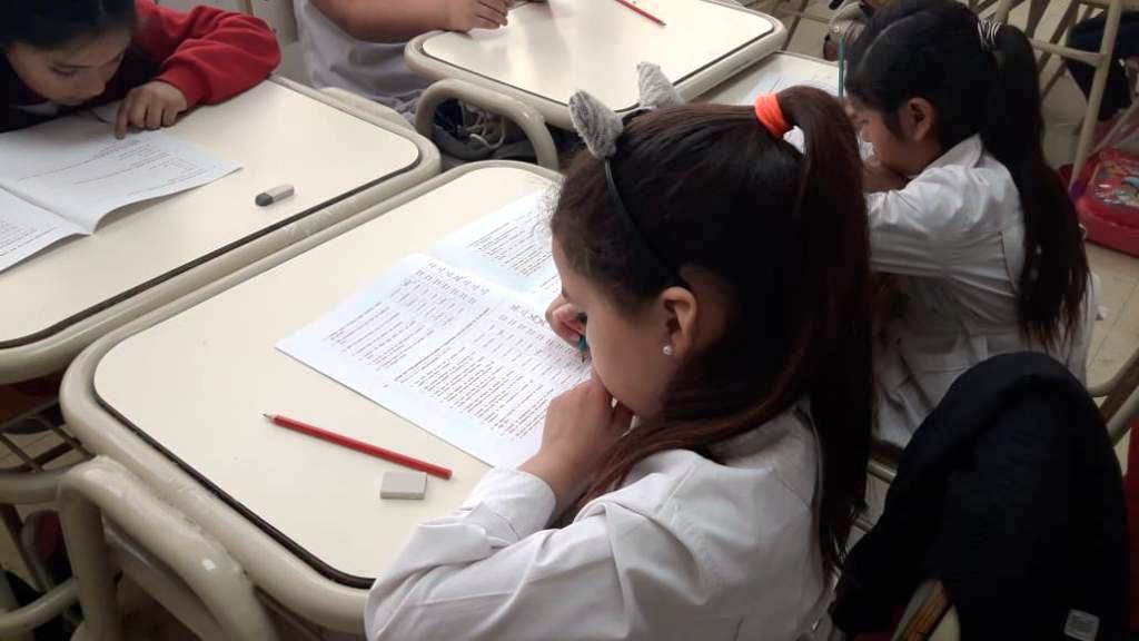 Seis escuelas primarias de la provincia participaron de la prueba ...
